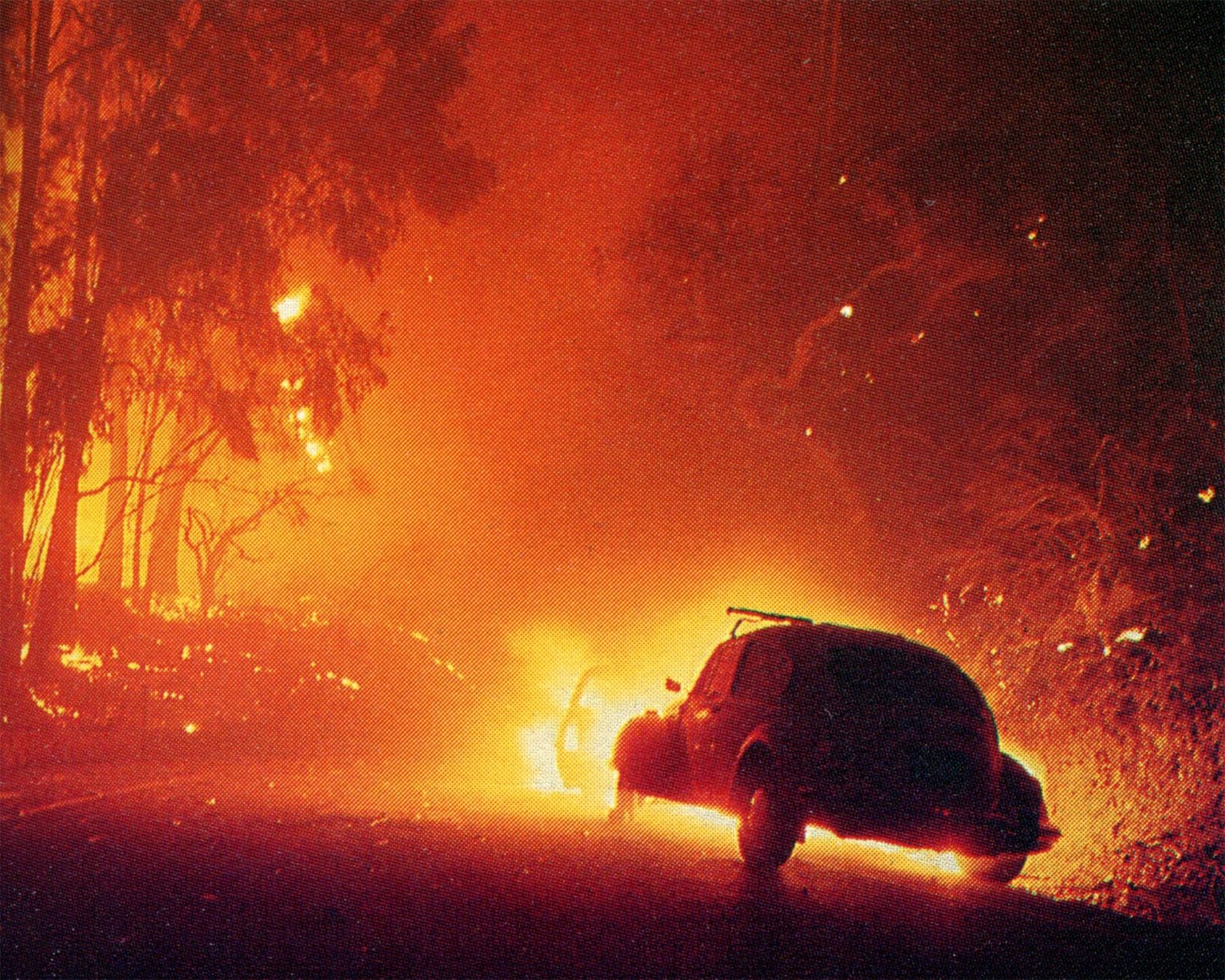 1977 Sycamore Fire - Santa Barbara Bucket Brigade
